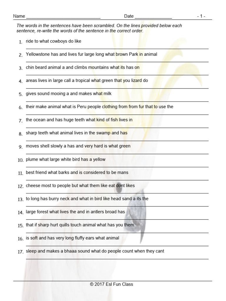Scrambled Animal Sentences for Kids | PDF | Zoology