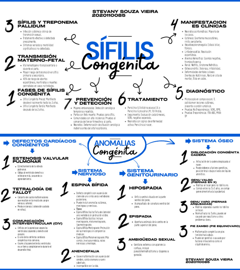 Vieira Sífilis | PDF | Corazón | Enfermedades y trastornos humanos