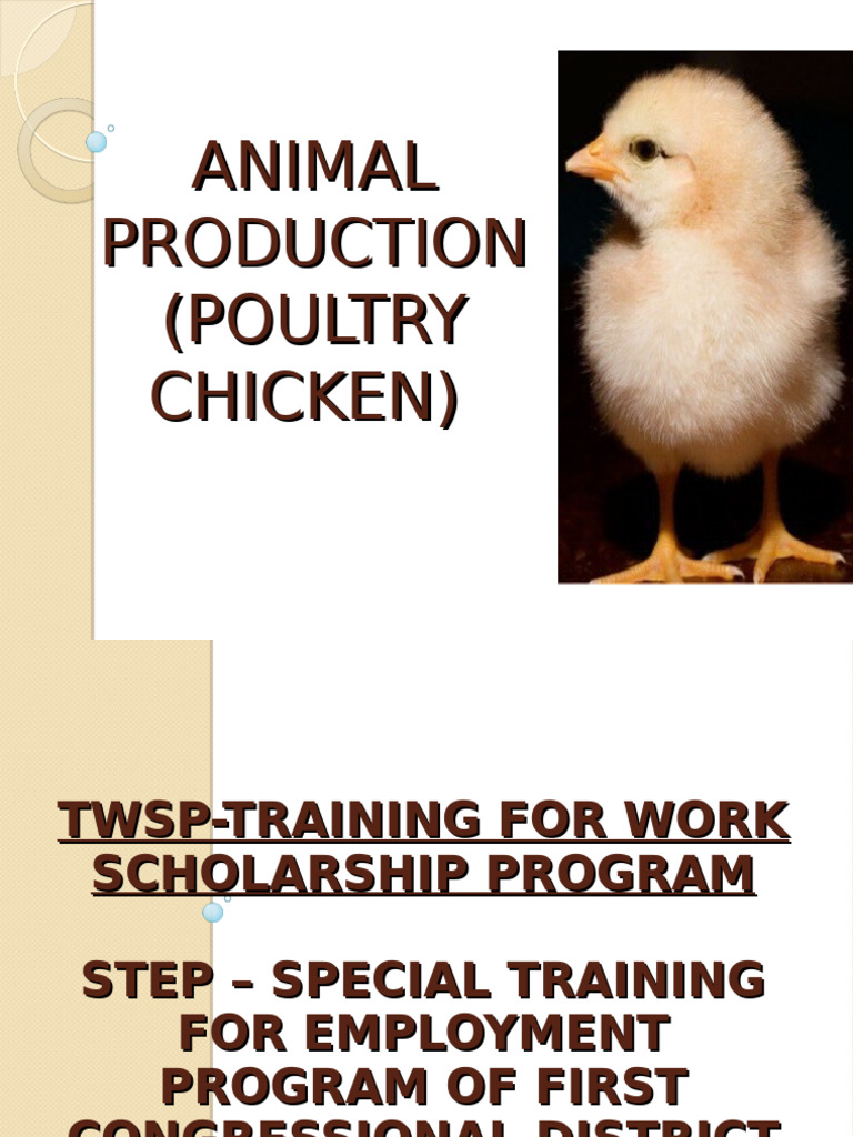 Poultry Production Training Program | PDF