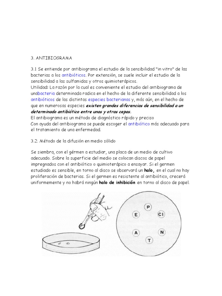 Anti Bio Gram A | PDF | Antibióticos | Las bacterias