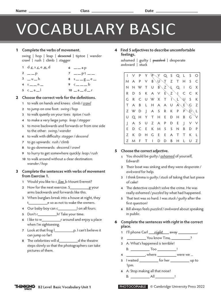 Basic Vocabulary Exercises Guide | PDF