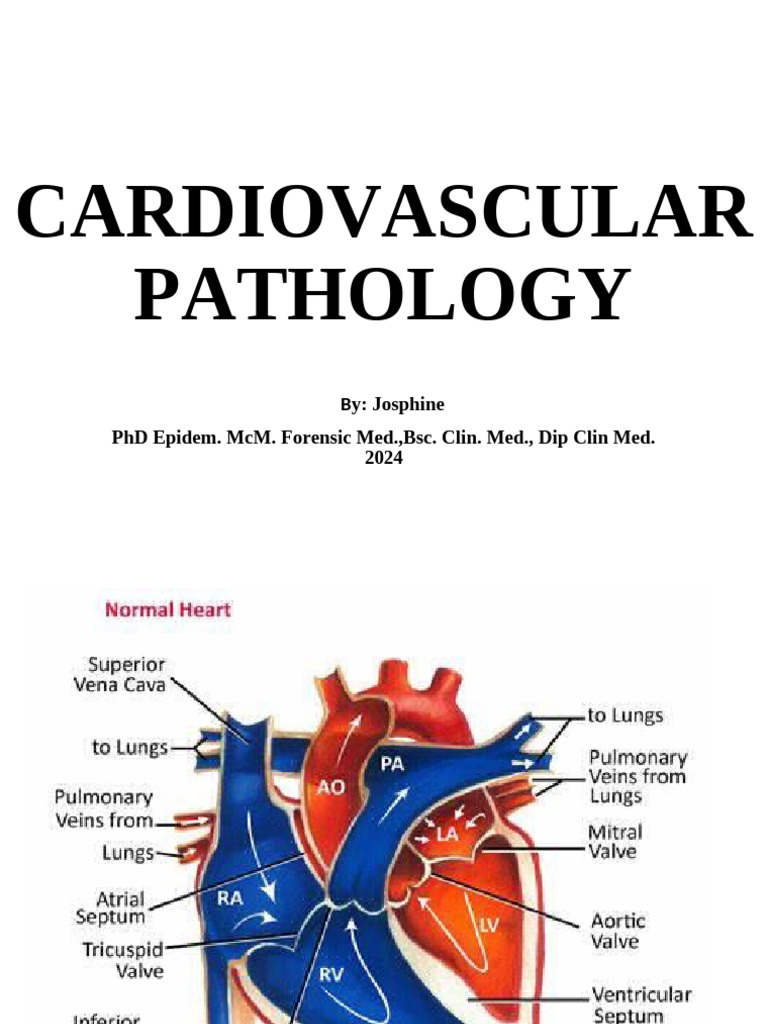 Cardiovascular System Pathology | PDF | Heart | Ischemia