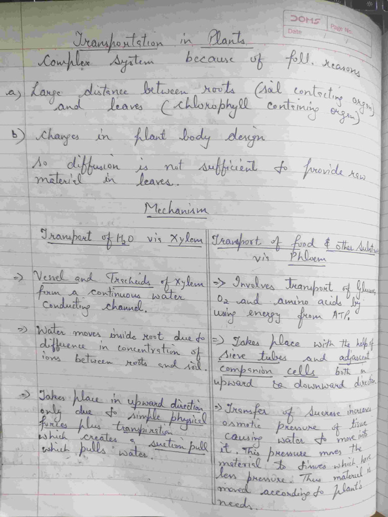 Flowchart (Excretory System) | PDF