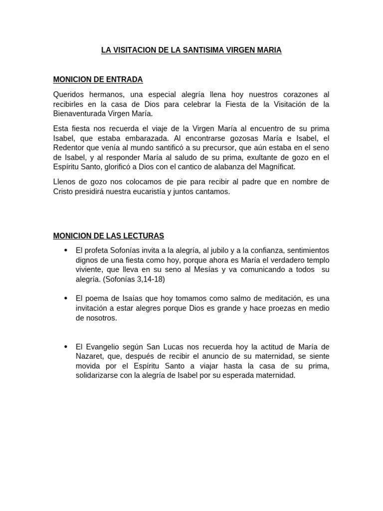 La Visitacion de La Santisima Virgen Maria 2025 | PDF