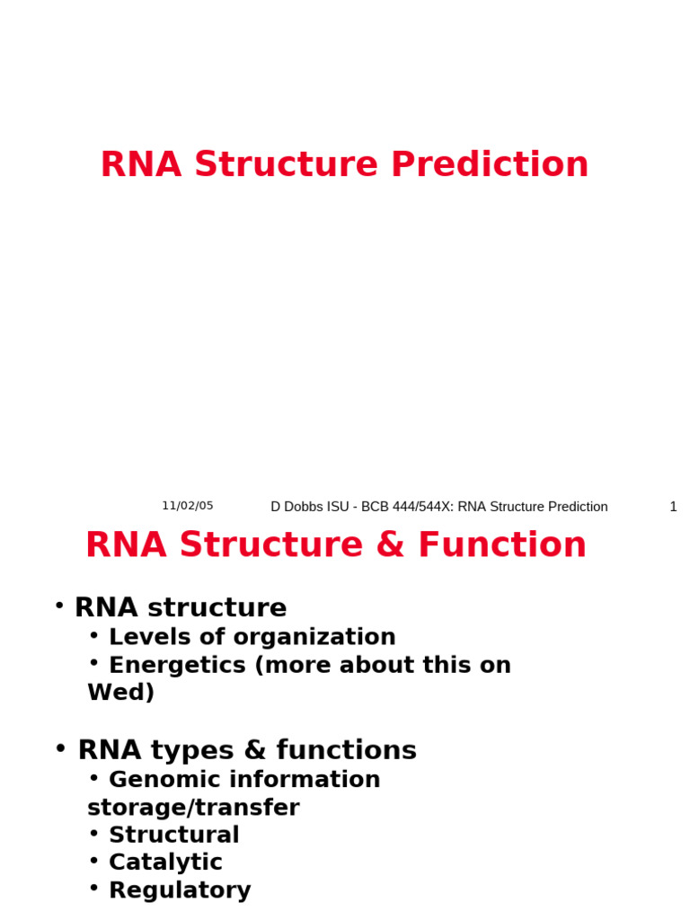 Rna Structure Prediction | PDF | Rna | Translation (Biology)