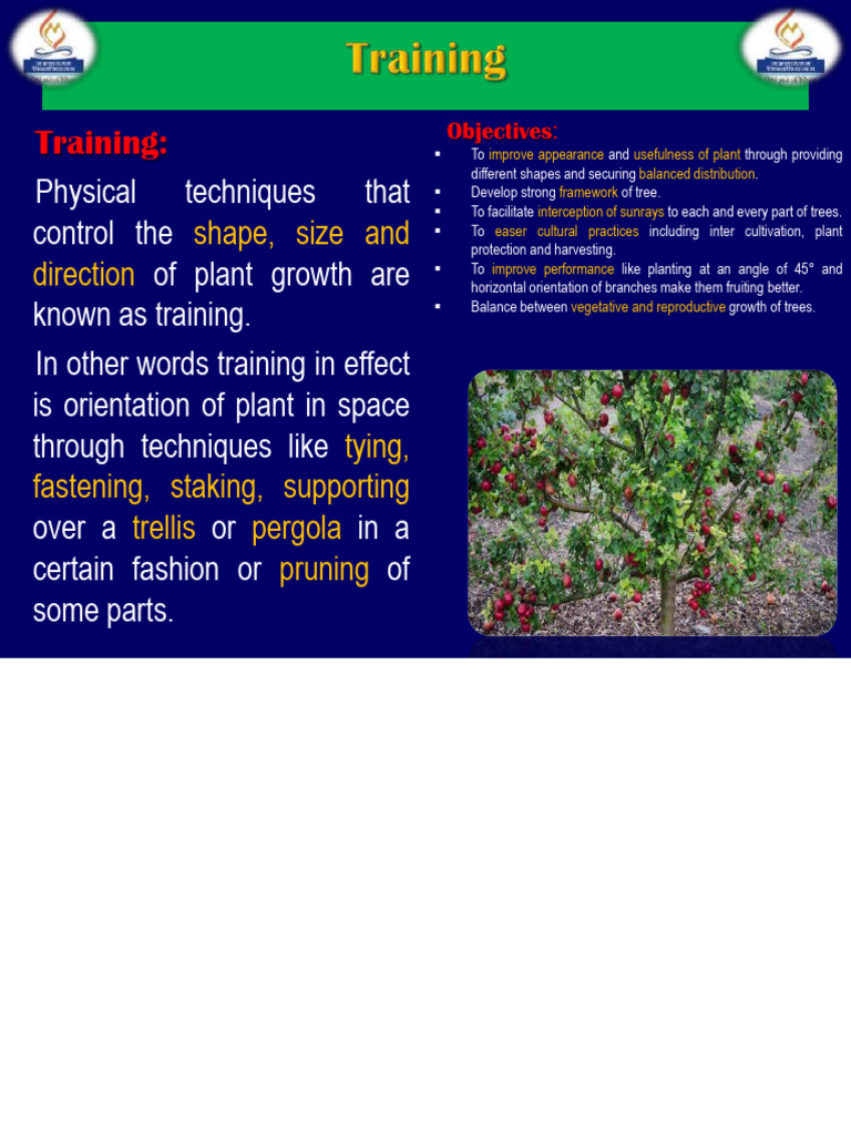 Tarining and Pruning in Fruit Crops | PDF | Pruning | Trees