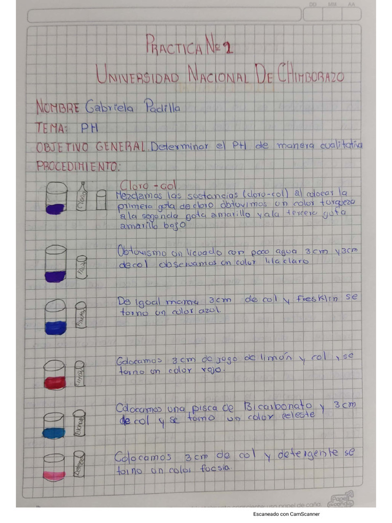 Practica 2 Bioquimica Pdf