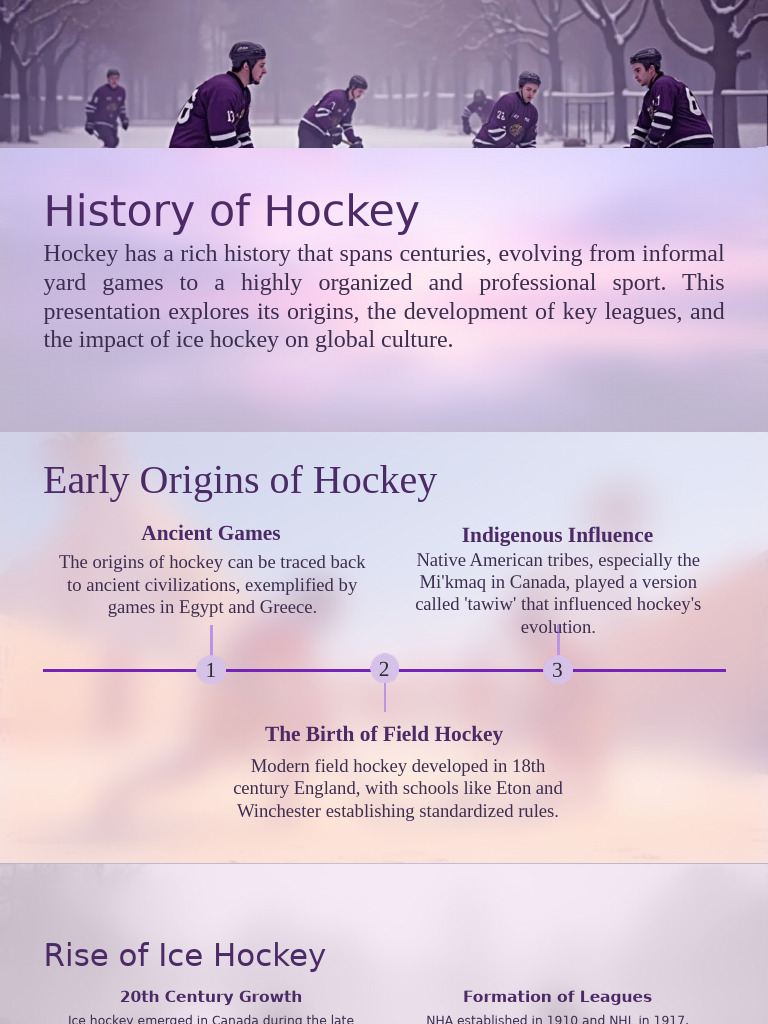 Evolution of Hockey: A Global History | PDF | Ice Hockey | National ...