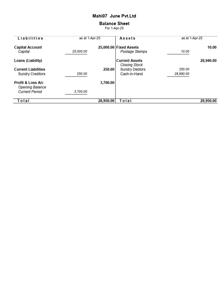 Saheb06june Bal Sheet | PDF