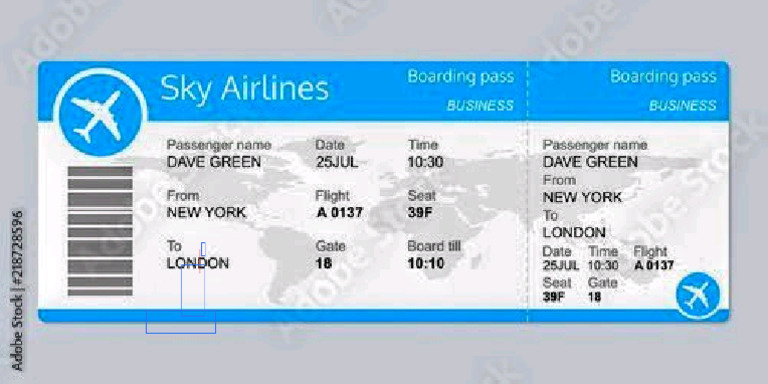 Flight Ticket | PDF