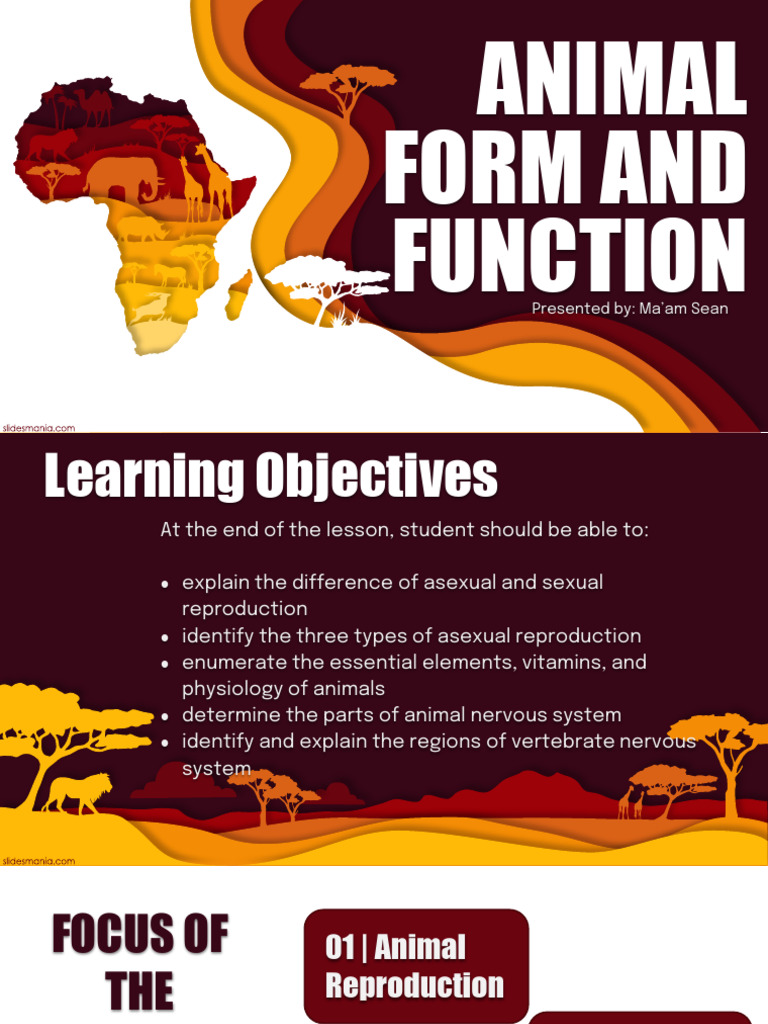 Animal Form and Function | PDF | Reproduction | Sexual Reproduction