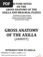 The Axilla Region - Borders - Contents - TeachMeAnatomy | PDF | Arm ...