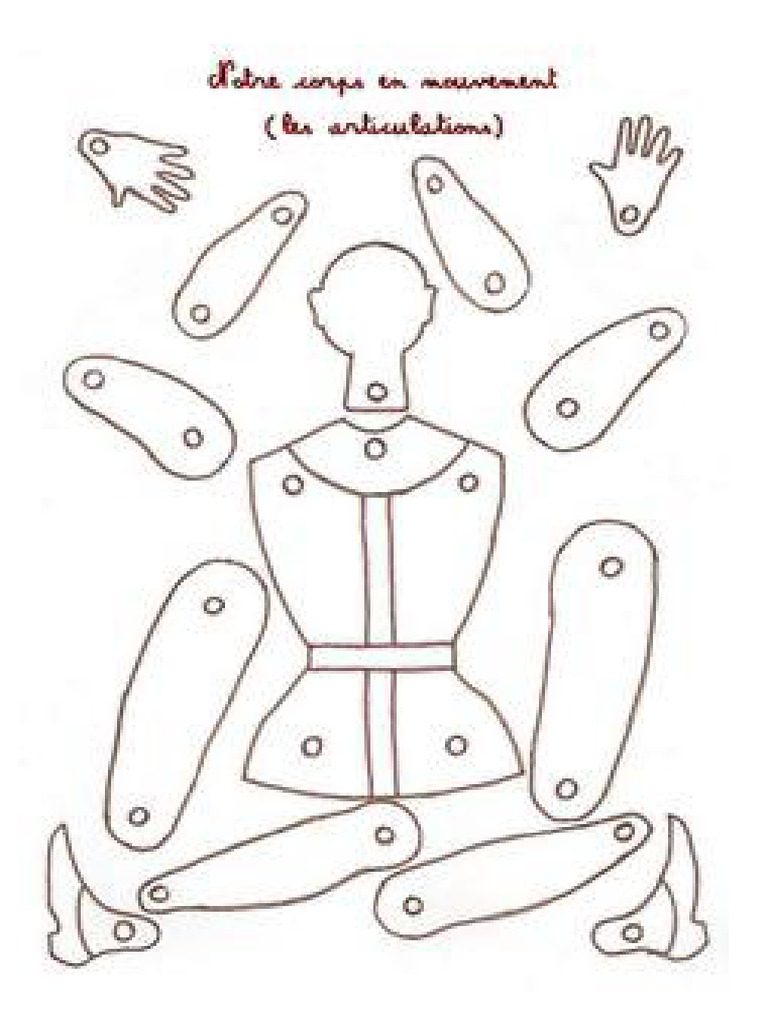 Articulation S | PDF