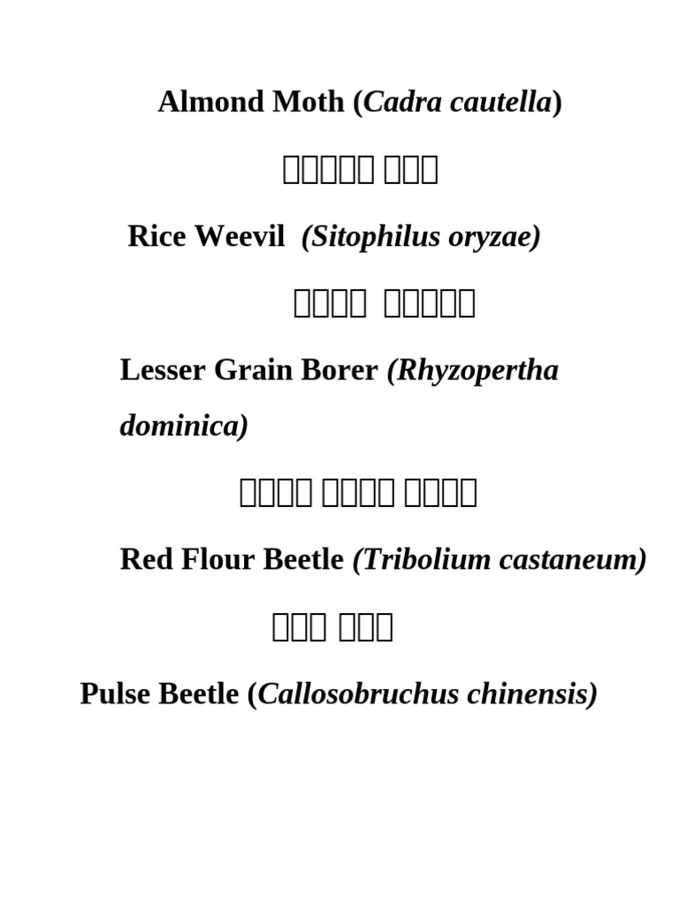 Pest Names | PDF