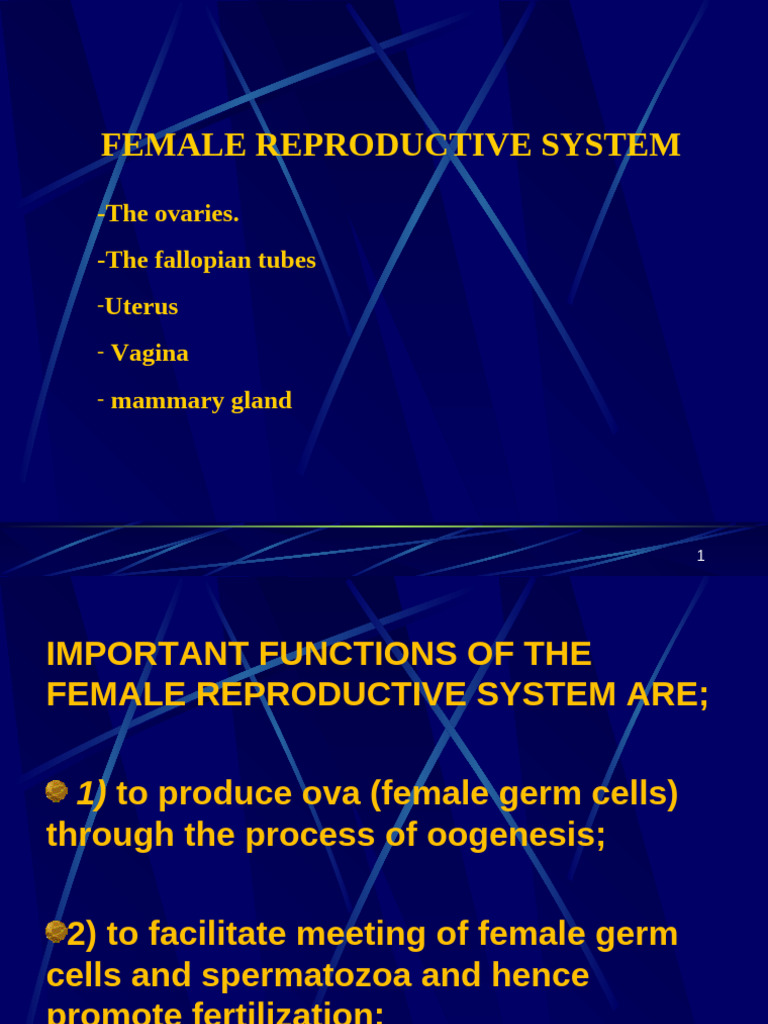 Histology (Female Reproductive System) (1) - 1 | PDF | Ovary | Epithelium