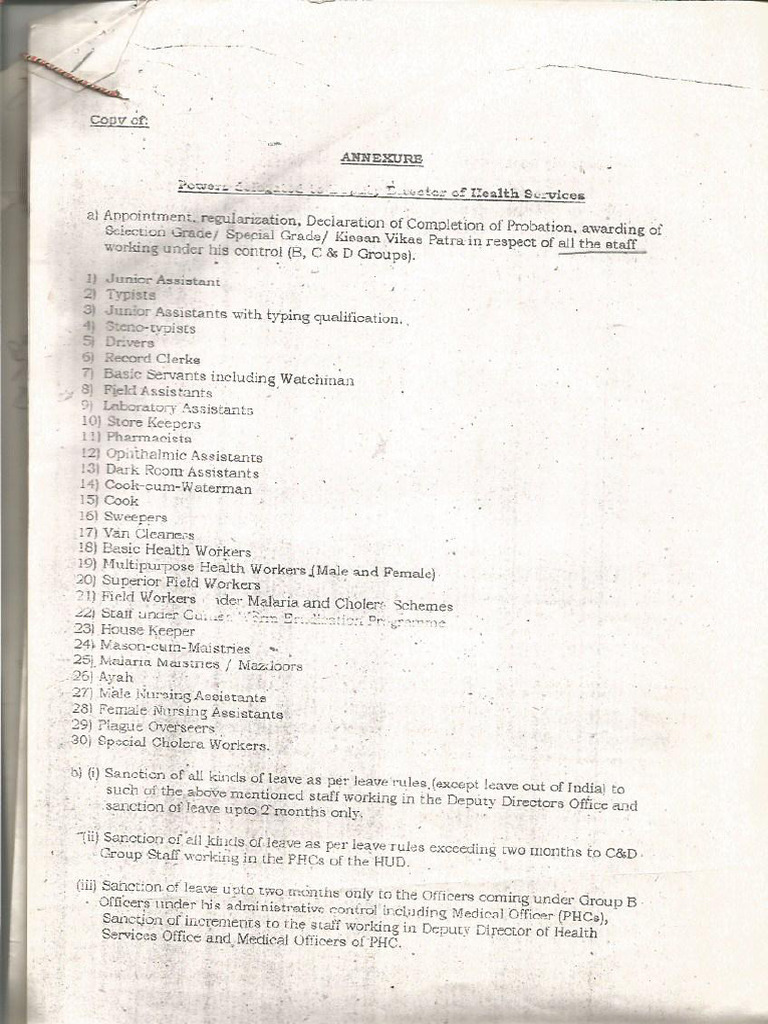 Delegation of Powers to DDHS GO | PDF