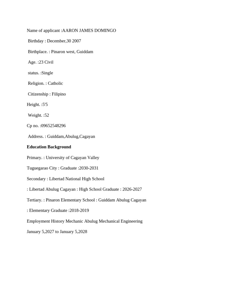 Aaron Domingo's Resume Summary | PDF