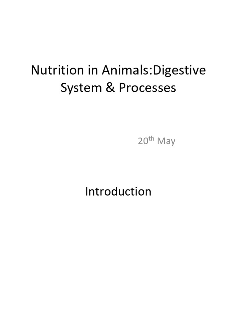 Animal Nutrition: Digestive Systems Explained | PDF | Digestion | Ruminant