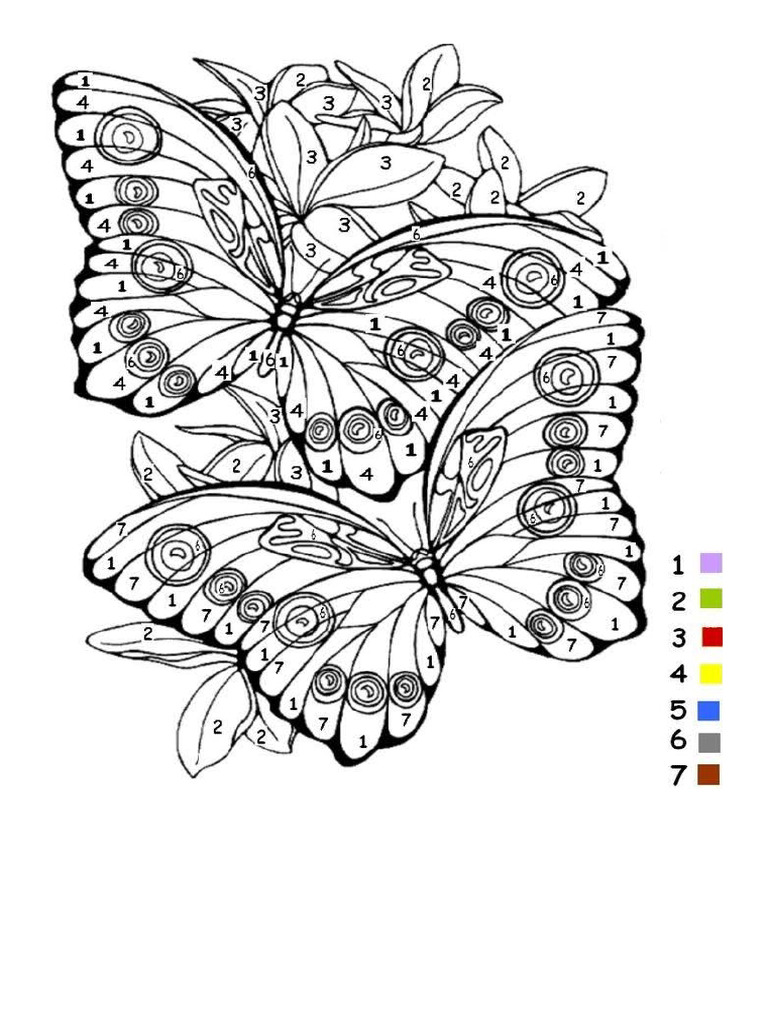 Coloriage 2 | PDF