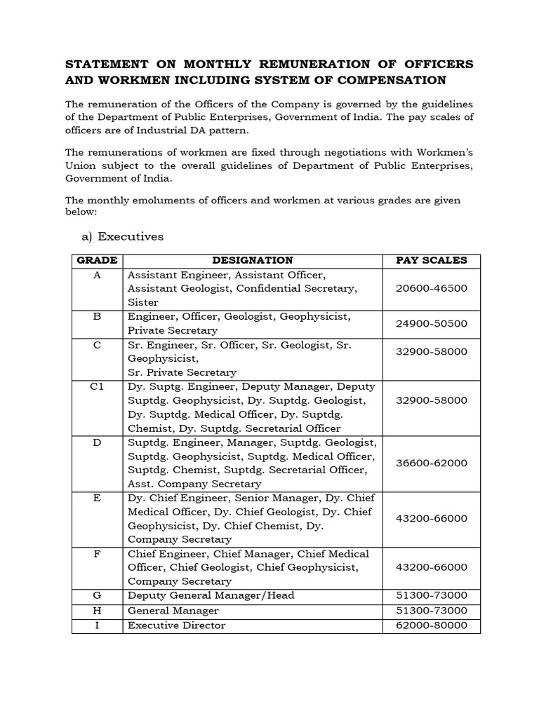 Monthly Remuneration and Pay Scales | PDF | Business | Expense