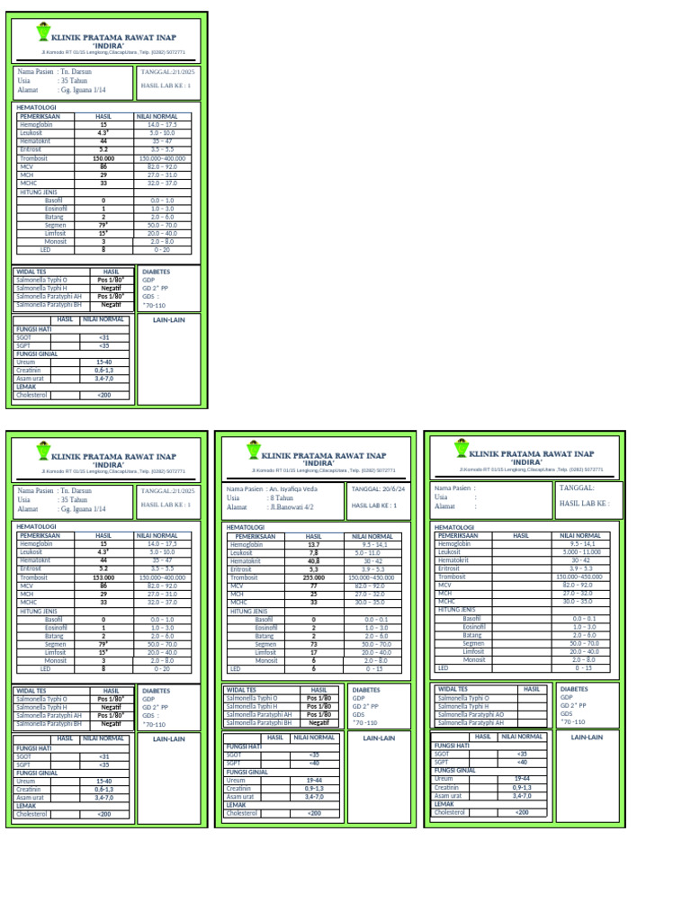 Blangko Hasil Lab | PDF