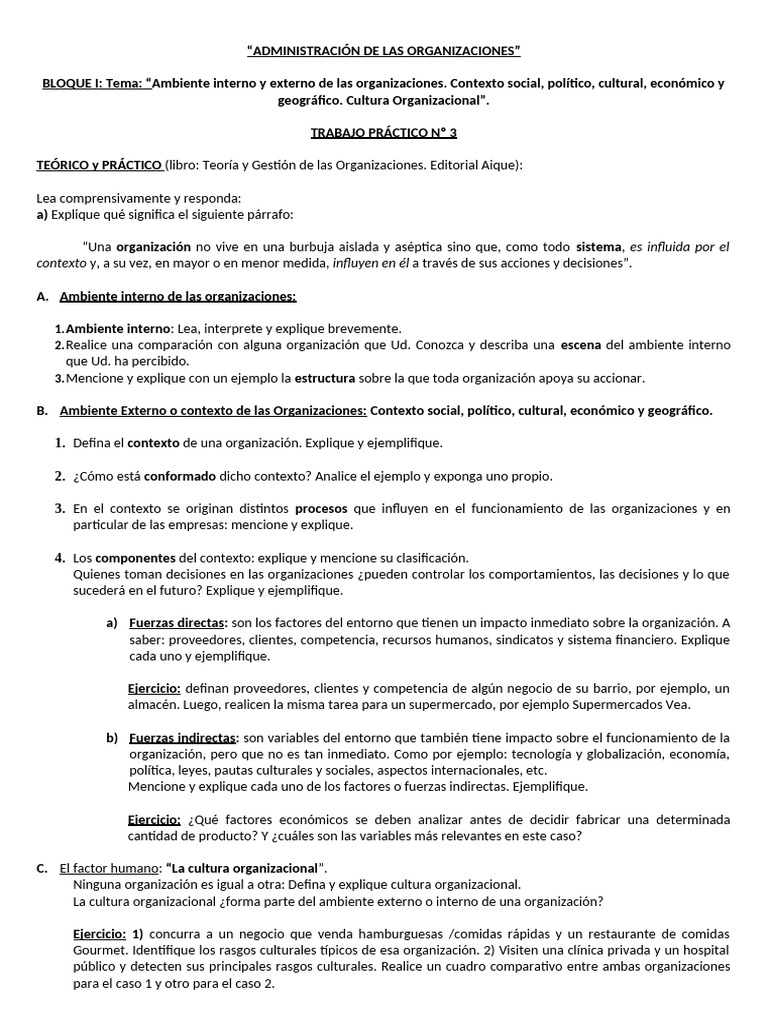 TP 3 - Ambiente Interno y Externo de Las Organizaciones - AIQUE | PDF | Economias | Business