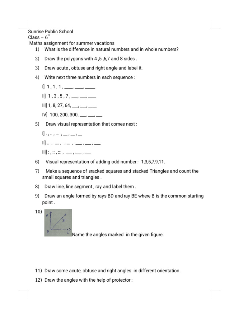 6th Class Assignment | PDF