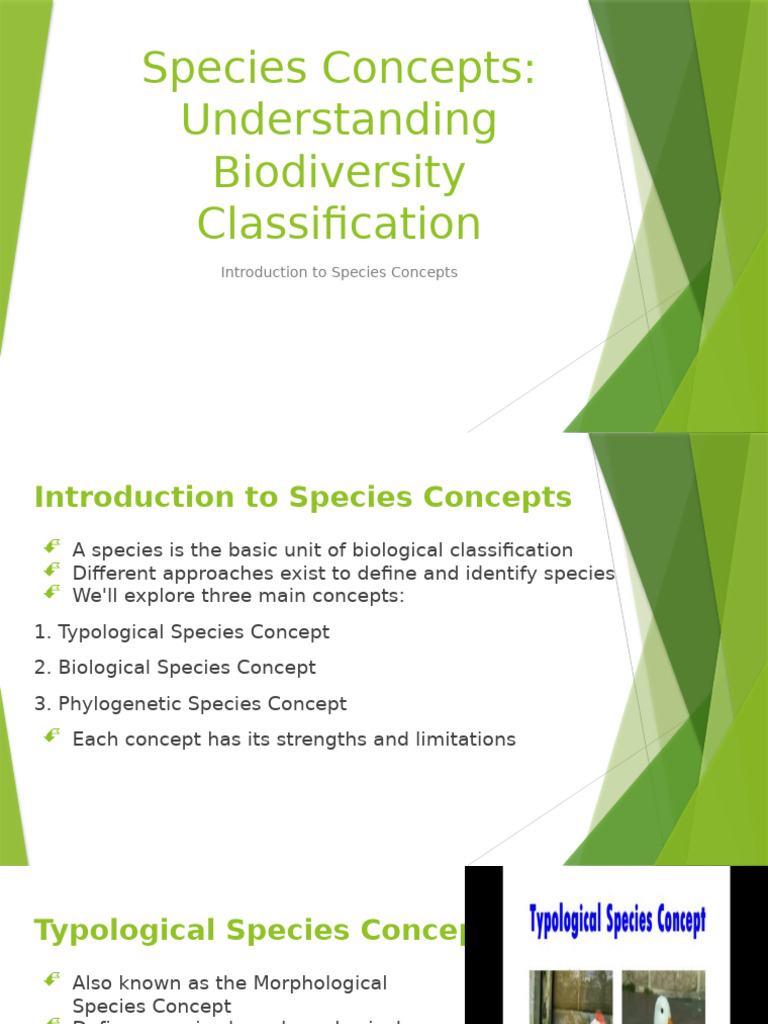 Species Concepts - Understanding Biodiversity Classification | PDF ...