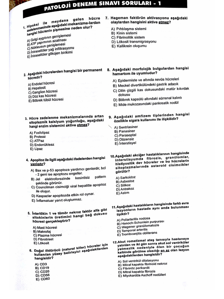 Patoloji Compress Dasd | PDF