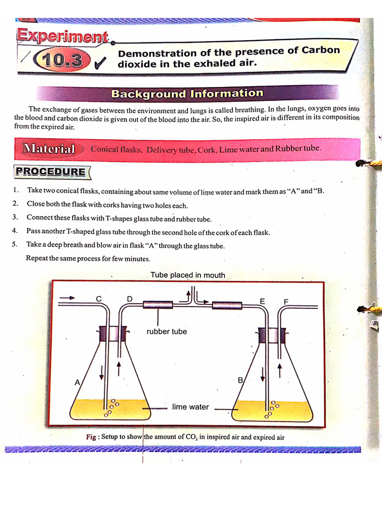 Biology Practical Material | PDF