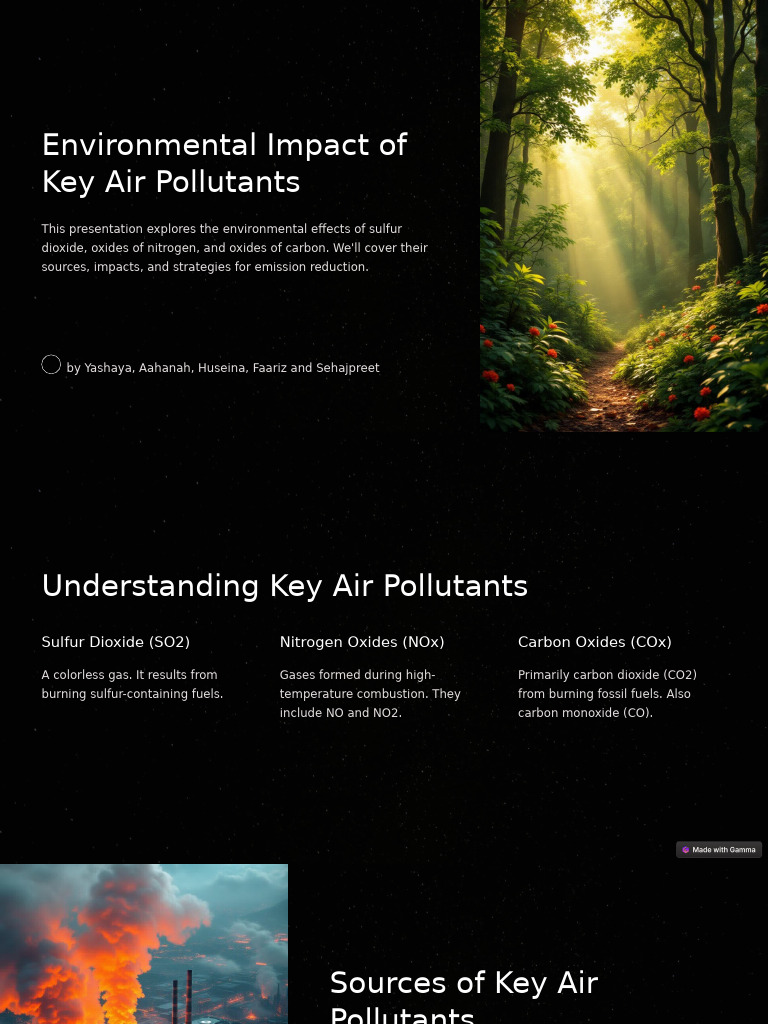 Environmental Impact of Key Air Pollutants 1 1 | PDF