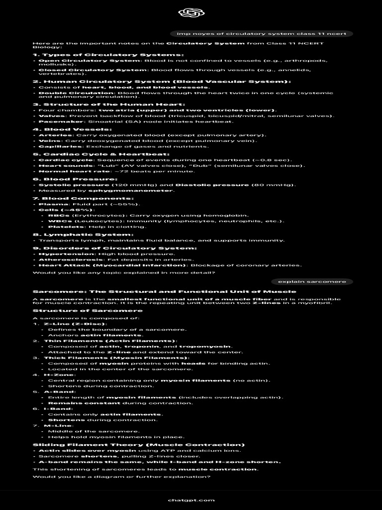 Circulatory System Overview | PDF