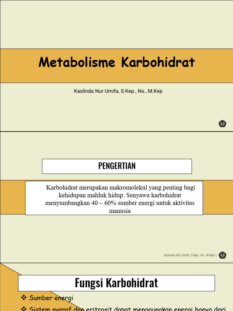Metabolisme Karbohidrat | PDF