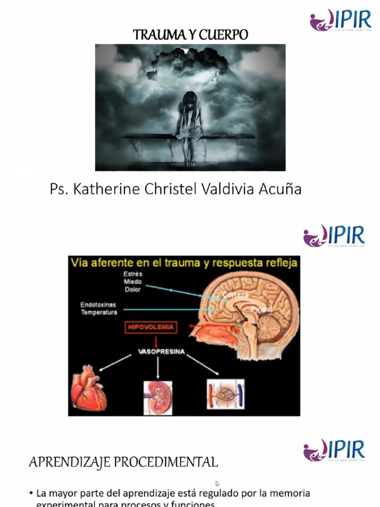 El Trauma y El Cuerpo | PDF