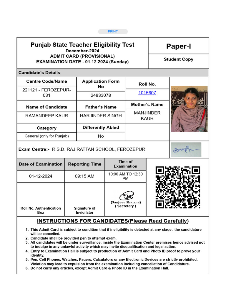 PSTET 2024 Admit Card Instructions | PDF