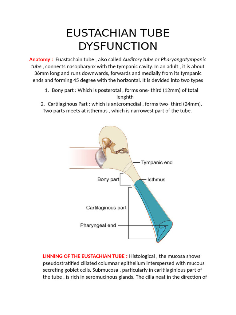 EUSTACHIAN TUBE DYSFUNCTION | PDF | Ear | Auditory System