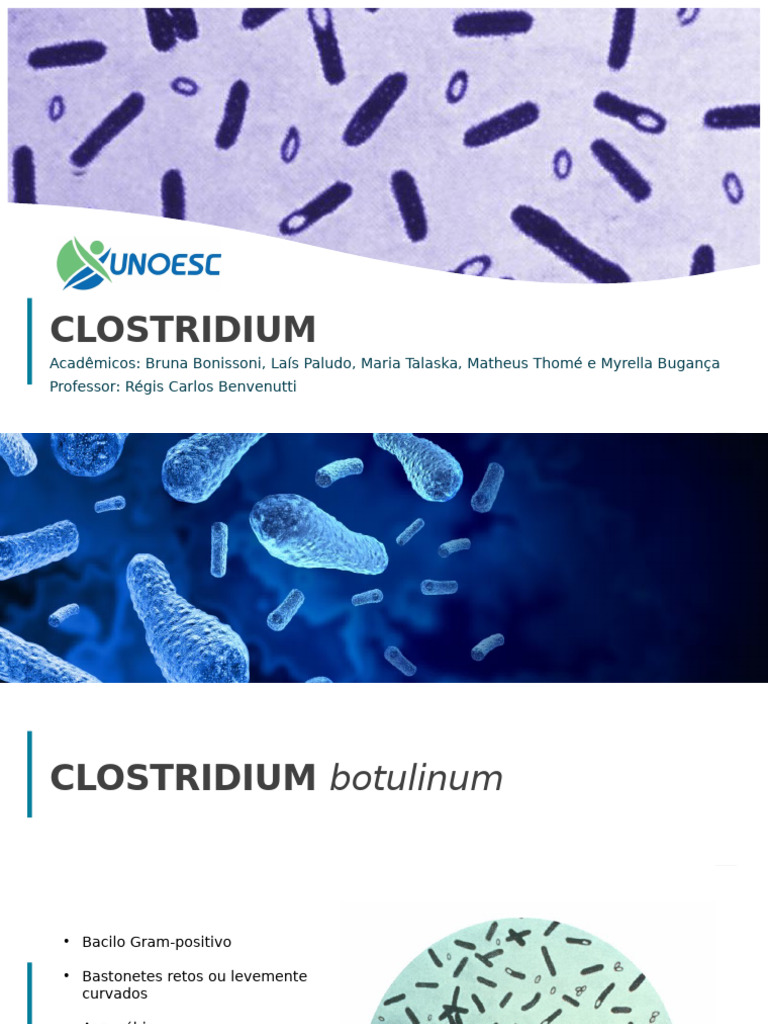 Clostridium Final | PDF | Microbiologia | Especialidades médicas