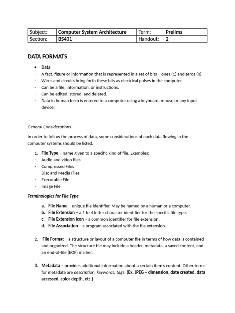 Understanding Computer Data Formats | PDF | Data Compression | Computer ...
