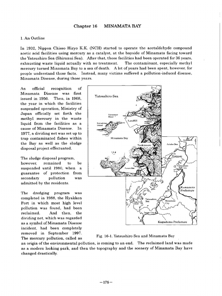 Minamata Bay | PDF