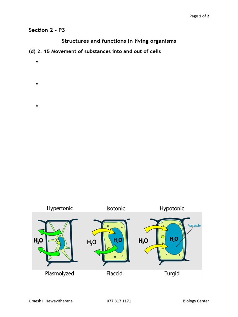 Section 2 P03 - Movement of Substances Into and & of Cells | PDF ...