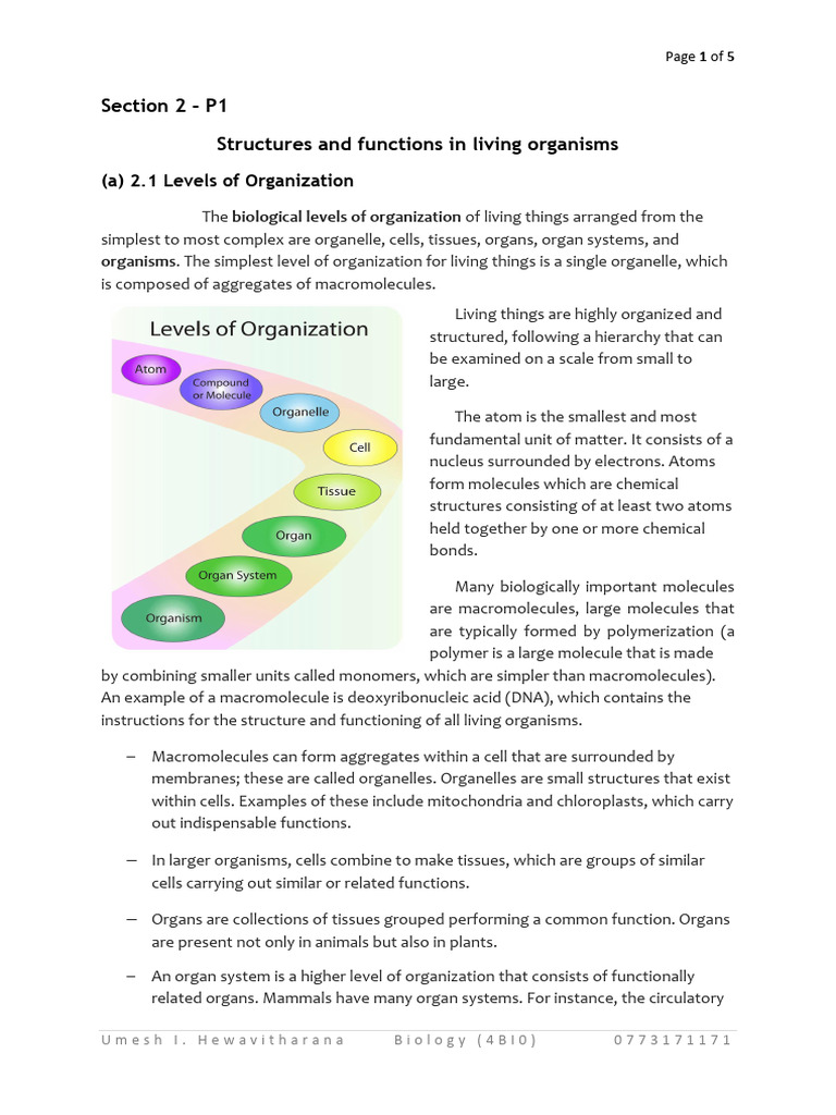 Section 2 P01 - Levels of Organization | PDF | Cellular Differentiation ...