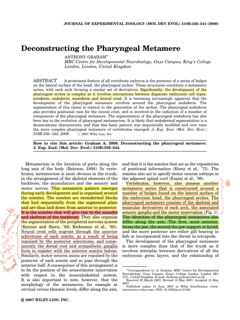 Deconstructing The Pharyngeal Metamere | PDF | Motor Neuron | Nervous System