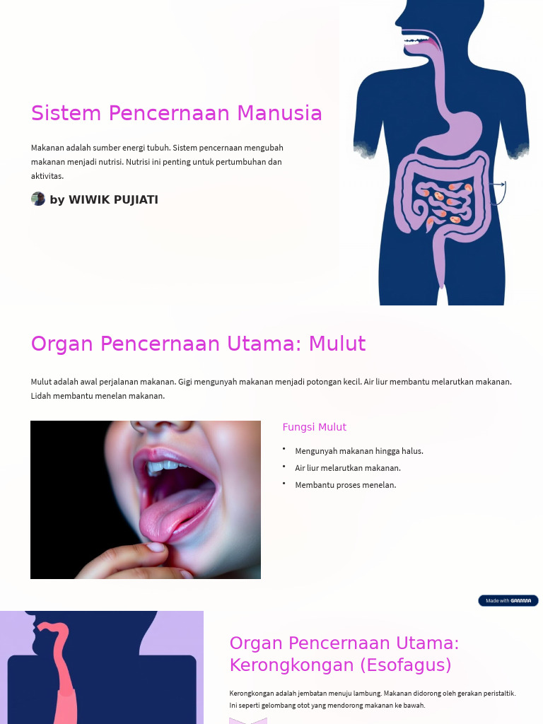 Sistem Pencernaan Manusia | PDF
