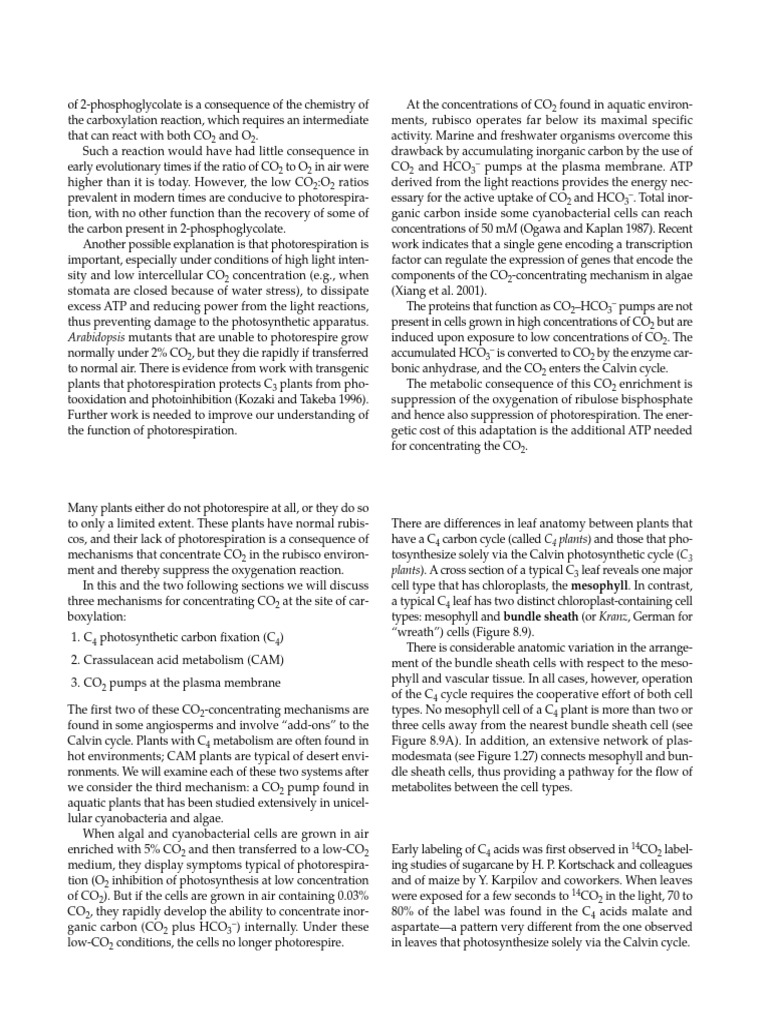 C4 Photosynthetic Carbon Cycle Explained | PDF | Photosynthesis ...
