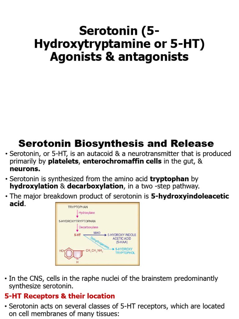 Serotonin (5-Hydroxytryptamine or 5-HT,) Agonists and | PDF | Serotonin | Neurochemistry