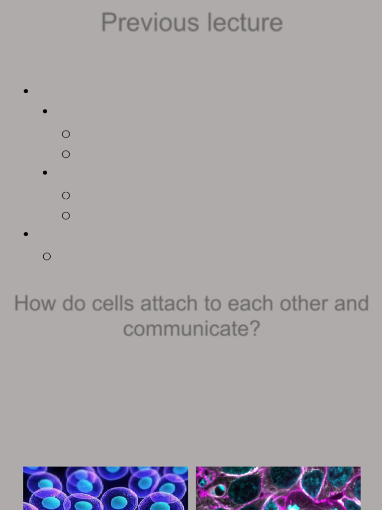 Lecture 5 Cell Attachment and Communication | PDF | Cell Signaling ...