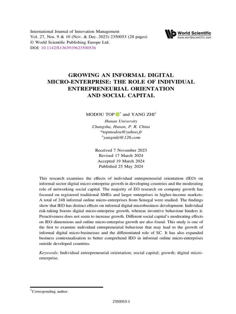 Growing An Informal Digital Micro-Enterprise: The Role of Individual ...