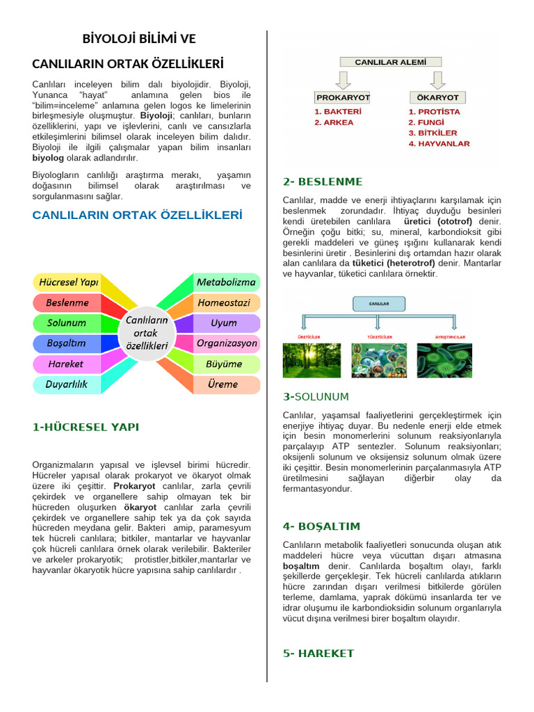 1 Canlıların Ortak Özellikleri | PDF
