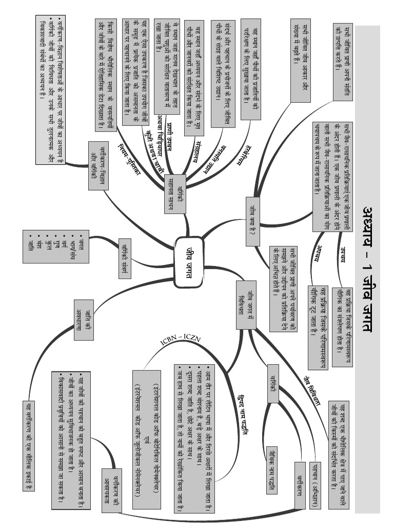 Class 11th Biology Mind Maps (1) | PDF