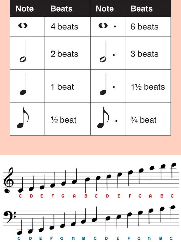 Parts of A Violin | PDF